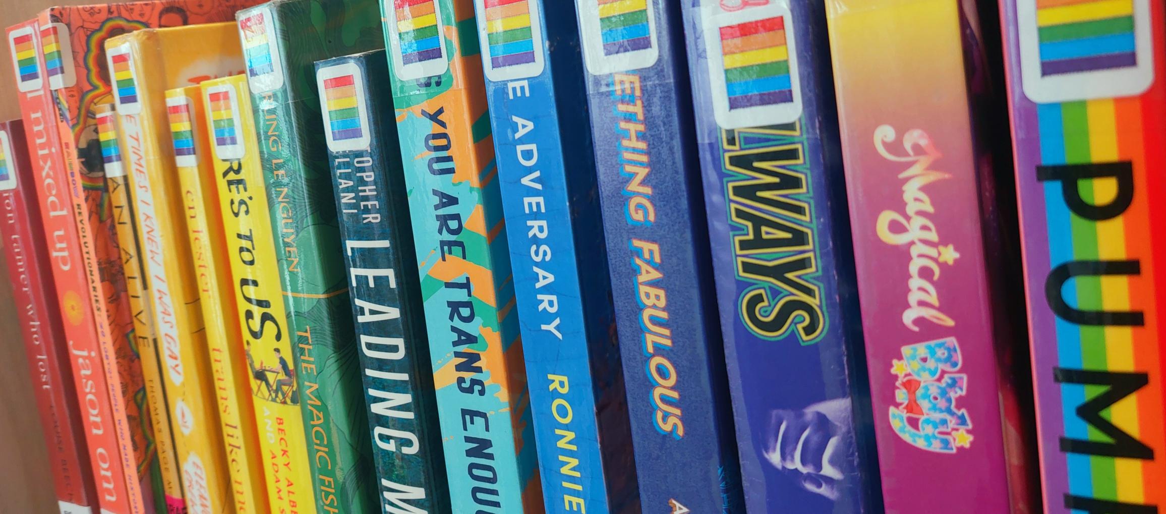 Improving our libraries for LGBTQIA+ Merri-bek community members ...